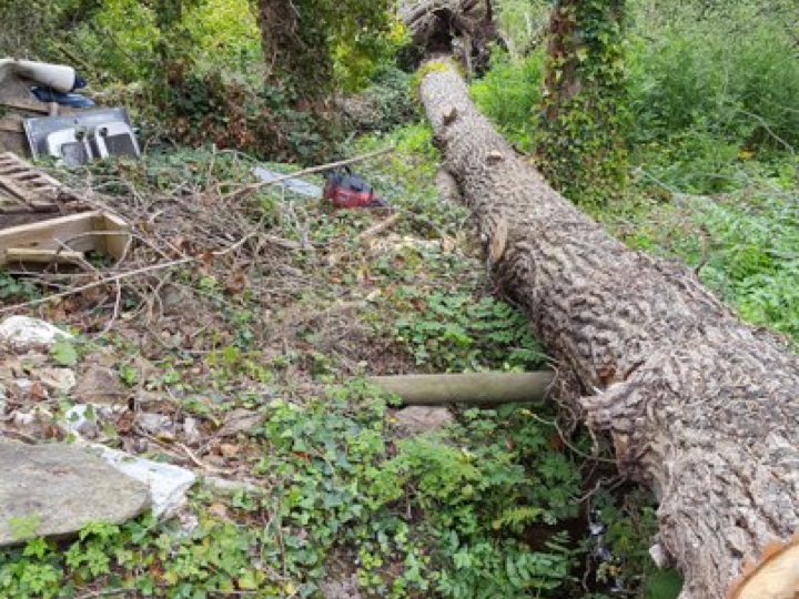 À déplacer le grand arbre pour dégager la source